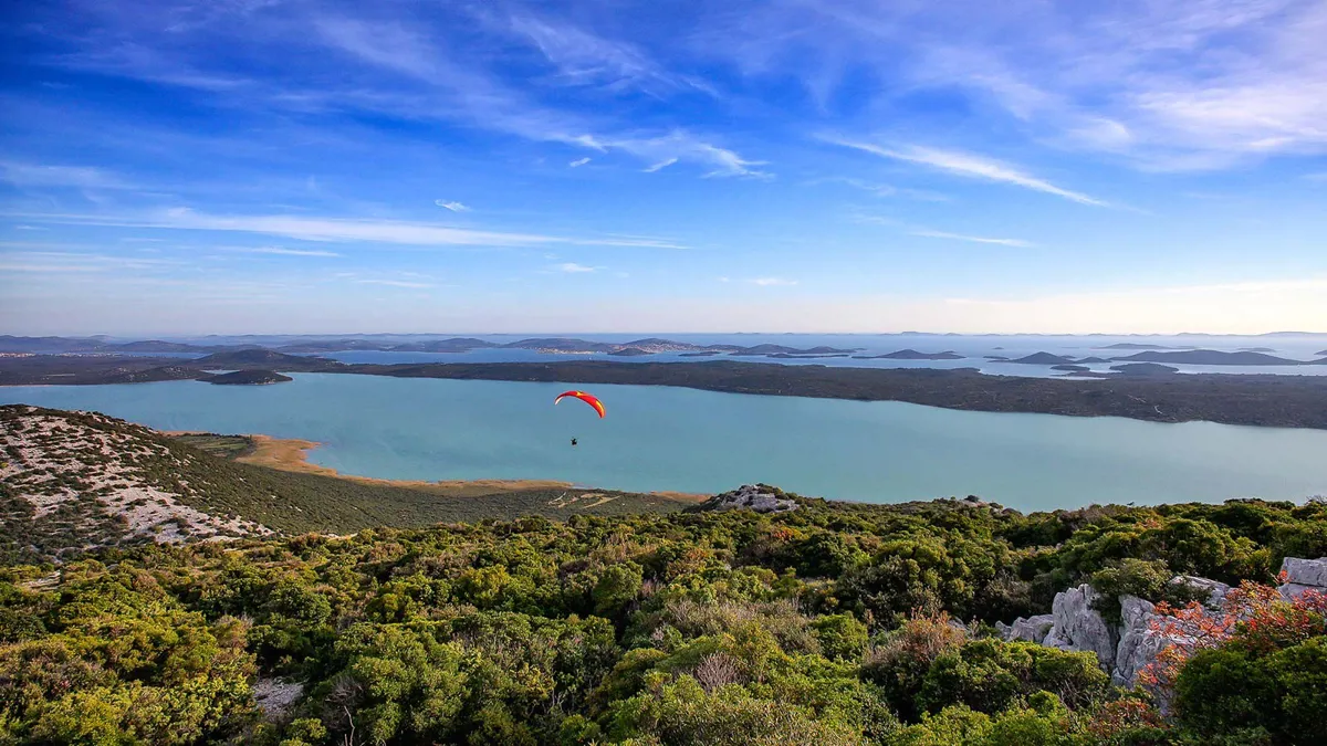 ULIX Travel - Birdwatching experience