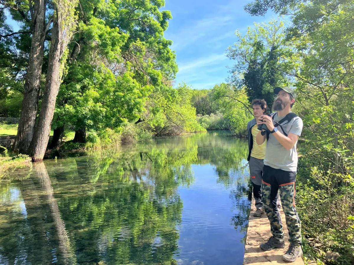 ULIX Travel - Birdwatching experience